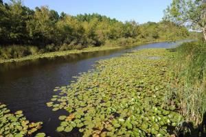 Karasu Gezi Rehberi | Gezimanya