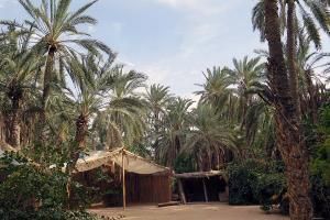 Tuzer Gezi Rehberi | Gezimanya