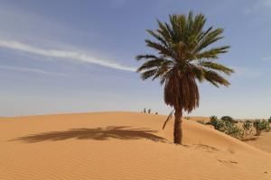 Moritanya Gezi Rehberi | Gezimanya